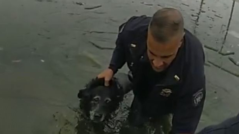 LOCAL OFFICER'S BRAVE RESCUE ENDS WITH HEARTBREAKING LOSS - Daily Posts 24